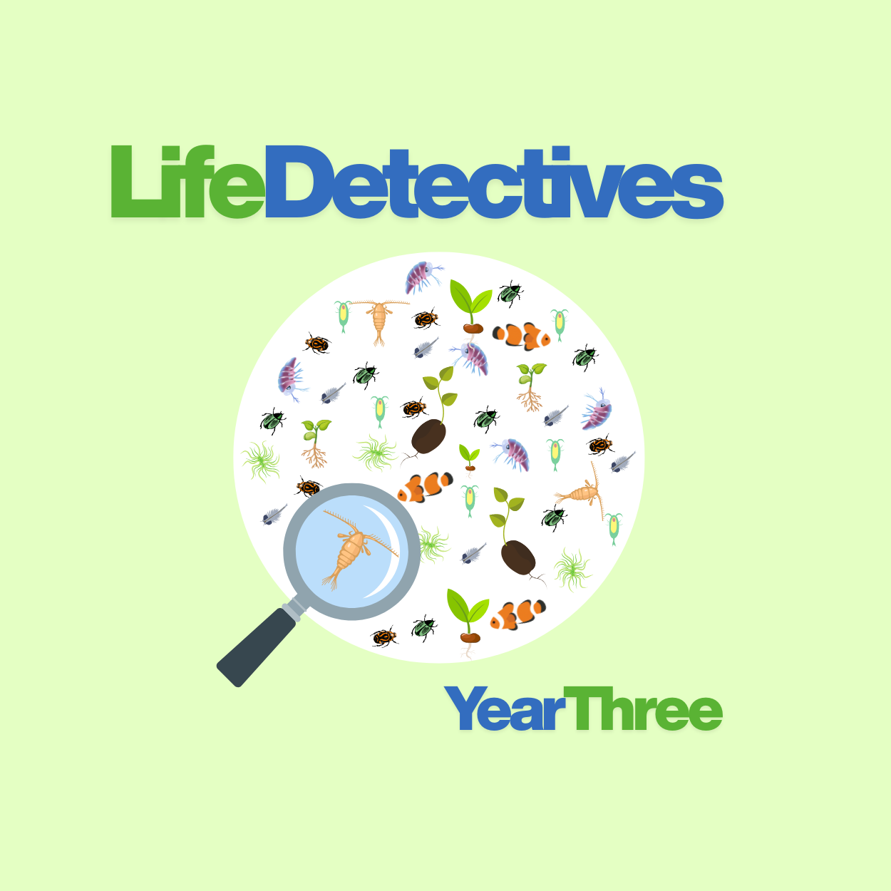 Year 3 - Life Detectives